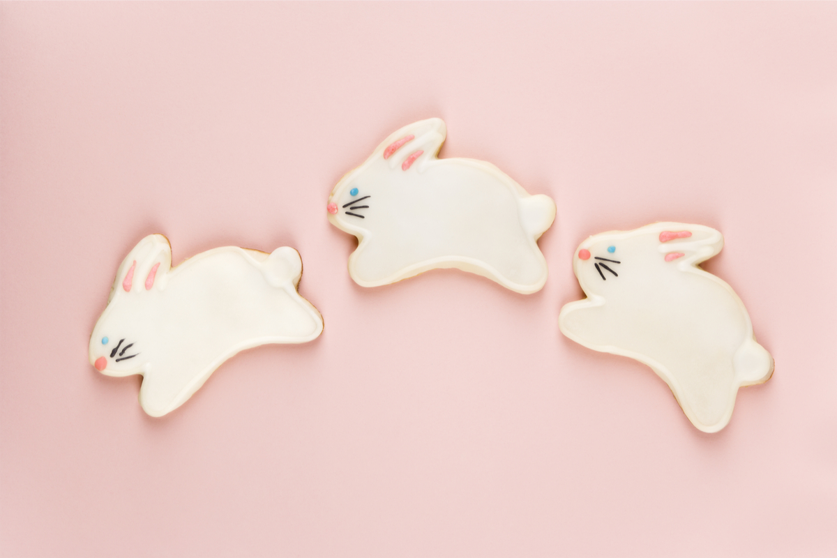 Homemade bunny sugar cookies | NewFolks