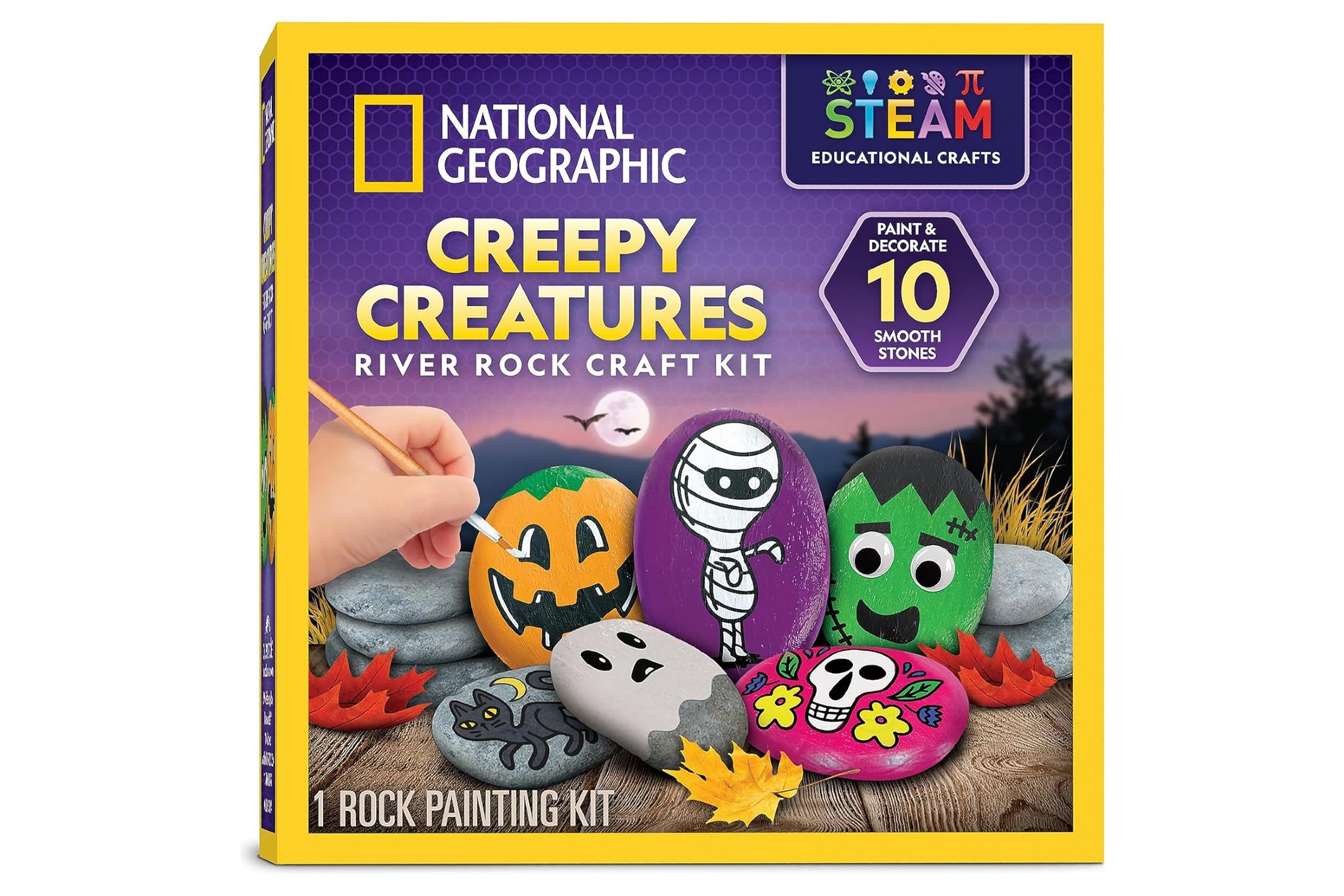 The Best Rock Painting Kit of 2024 | NewFolks